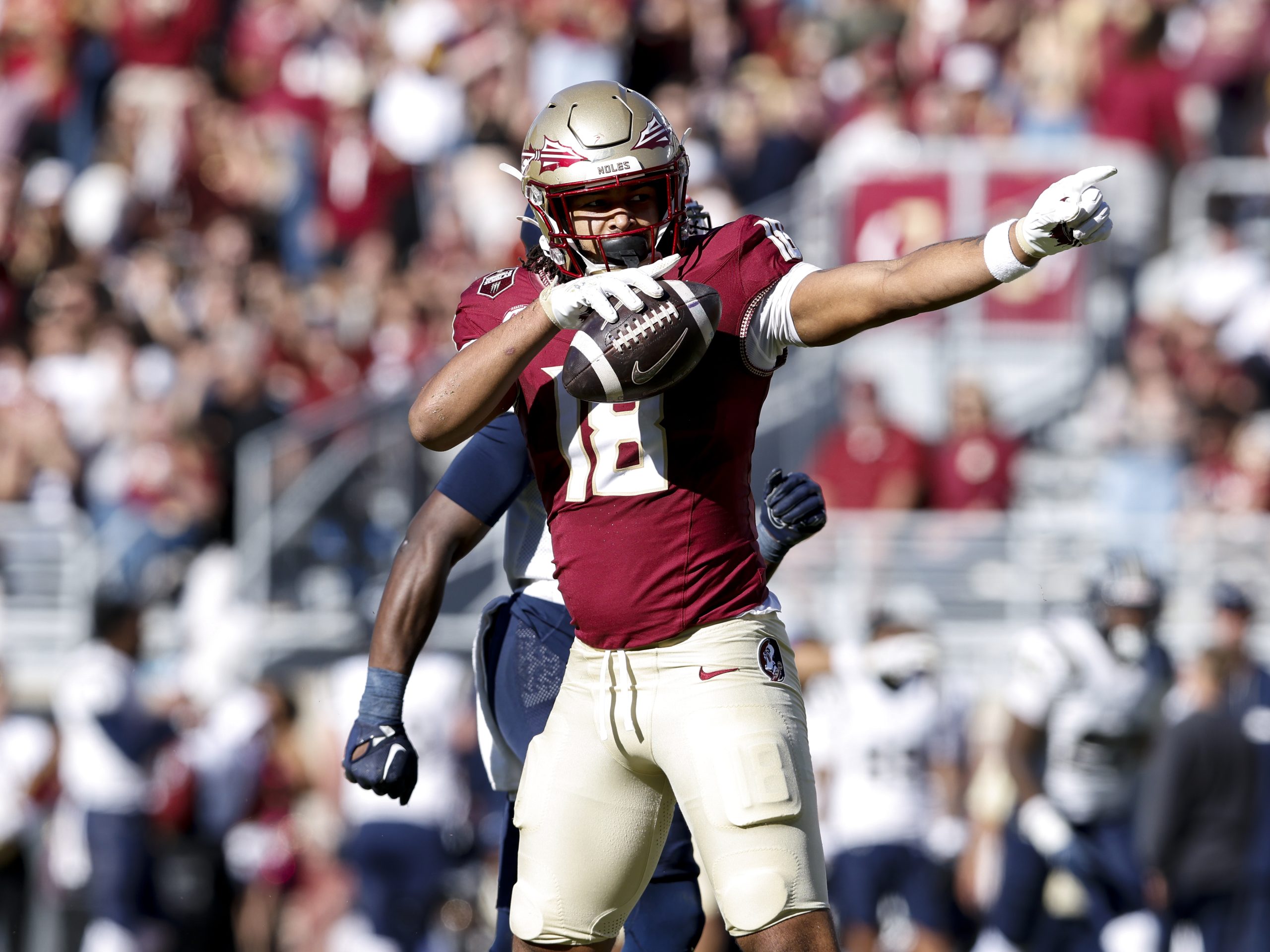 The Ultimate Student Guide to FSU Athletics: Teams, Traditions & Game ...